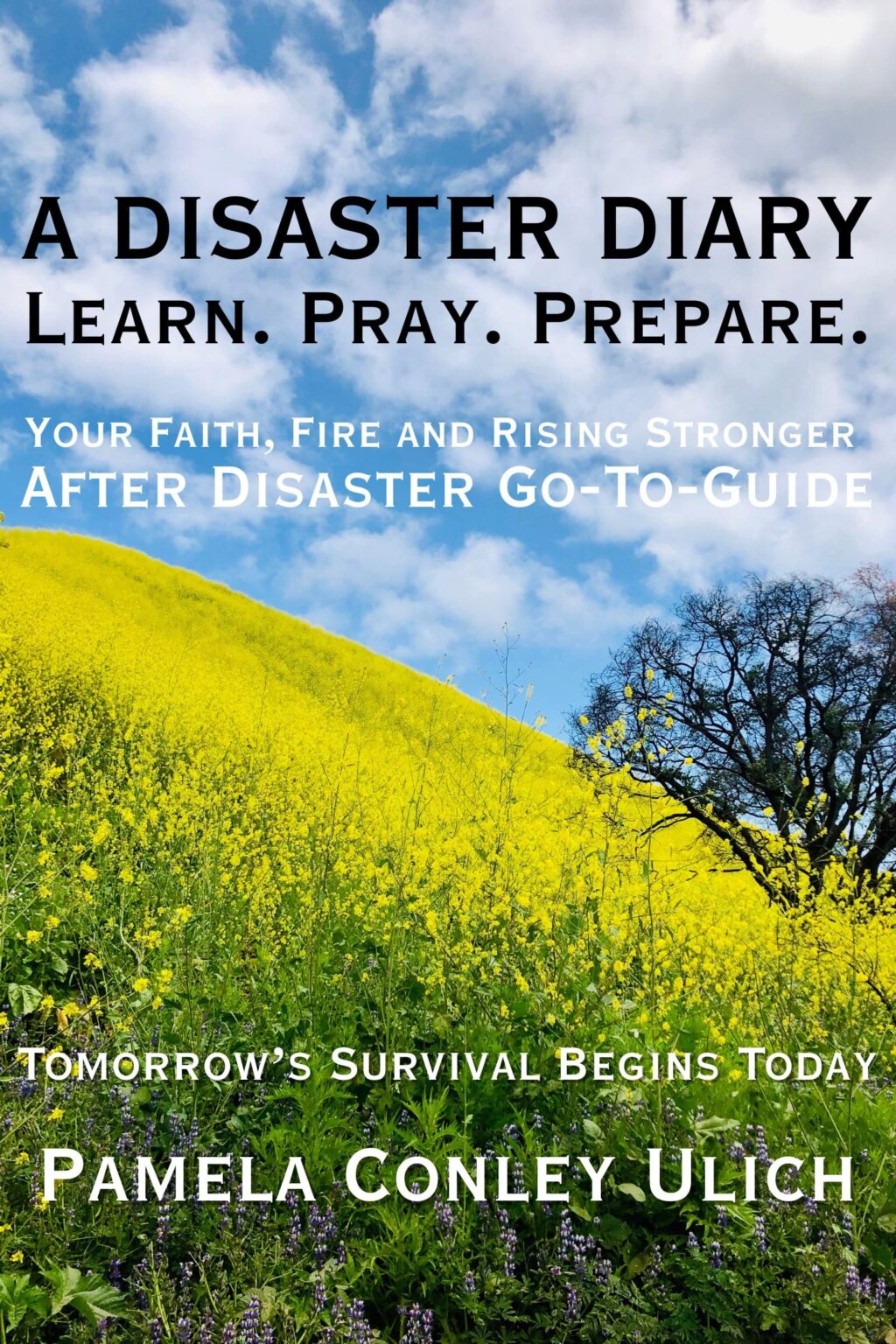 A Disaster Diary: Learn. Pray. Prepare. Your Faith, Fire and Rising ...